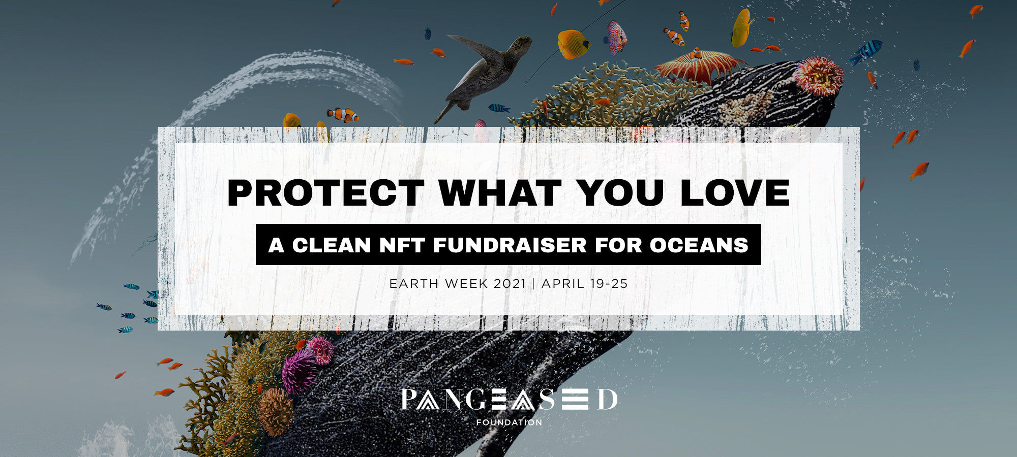 Protect What You Love Clean NFTs – PangeaSeed