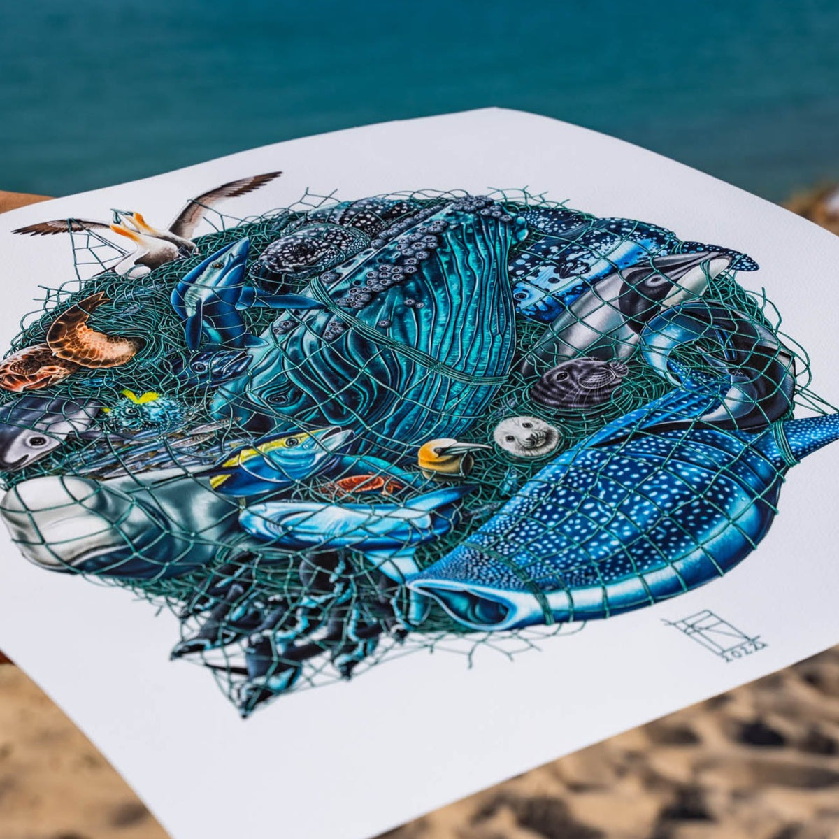 Bycatch by Francesca Page – PangeaSeed Foundation