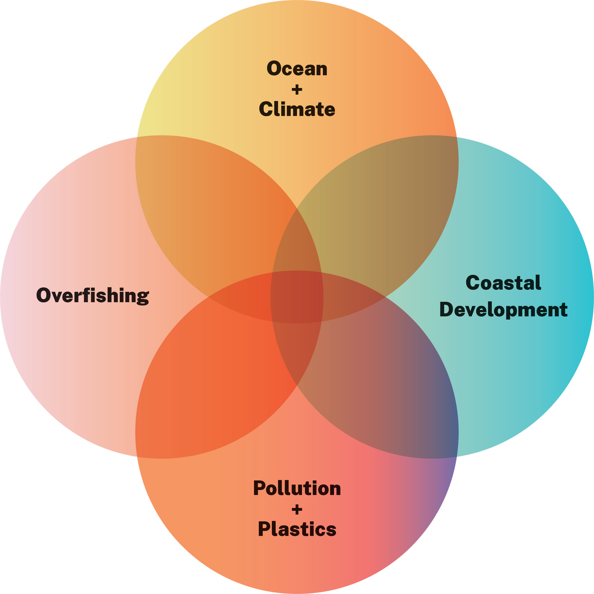 "Protect What You Love" by VOYDER – PangeaSeed