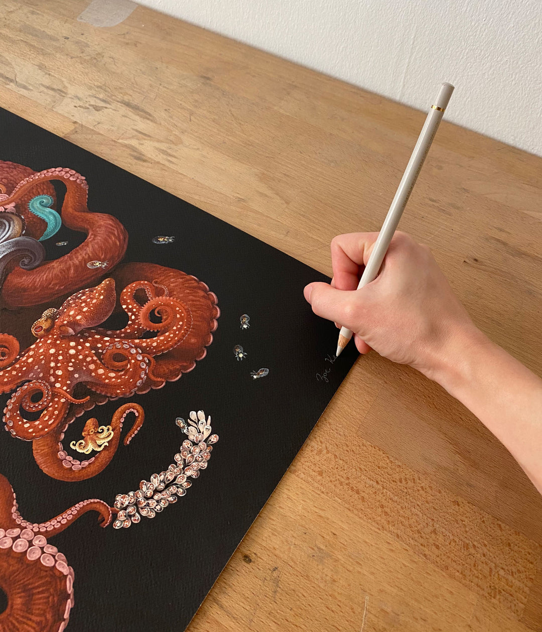 Octopodes – PangeaSeed Foundation