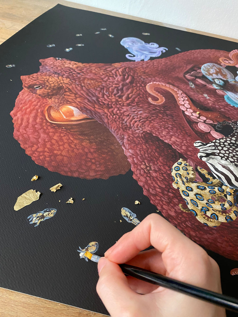 Octopodes – PangeaSeed Foundation