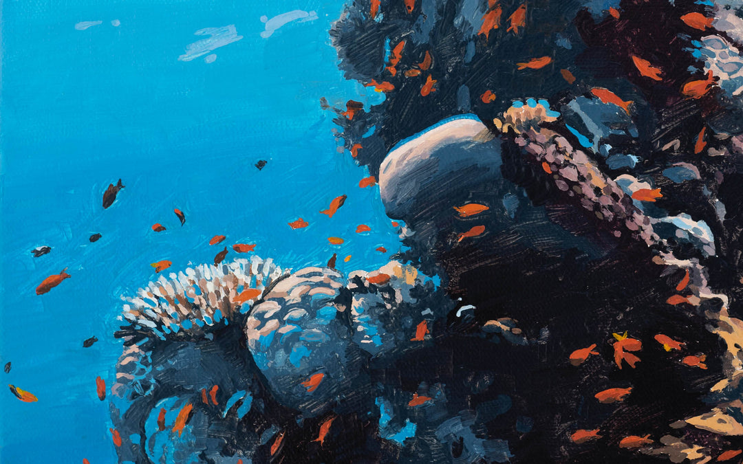 The Reef – PangeaSeed Foundation