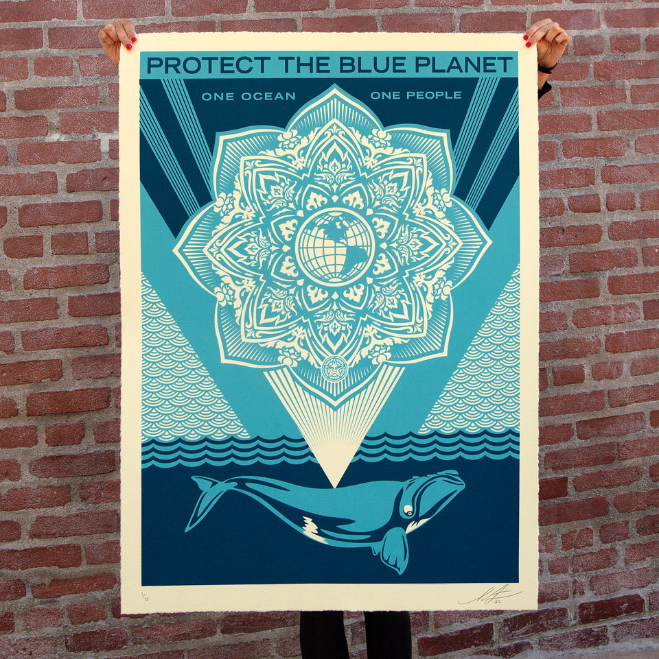 Protect the Blue Planet – PangeaSeed Foundation