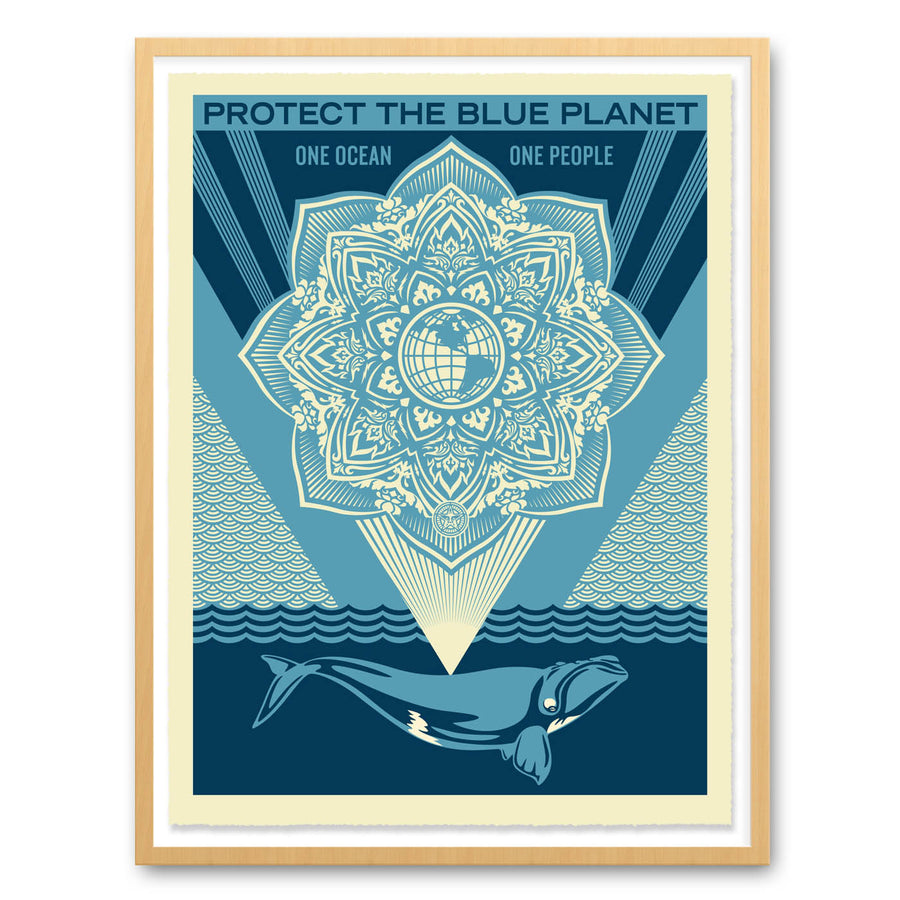 Protect the Blue Planet – PangeaSeed Foundation