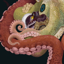 Octopodes – PangeaSeed