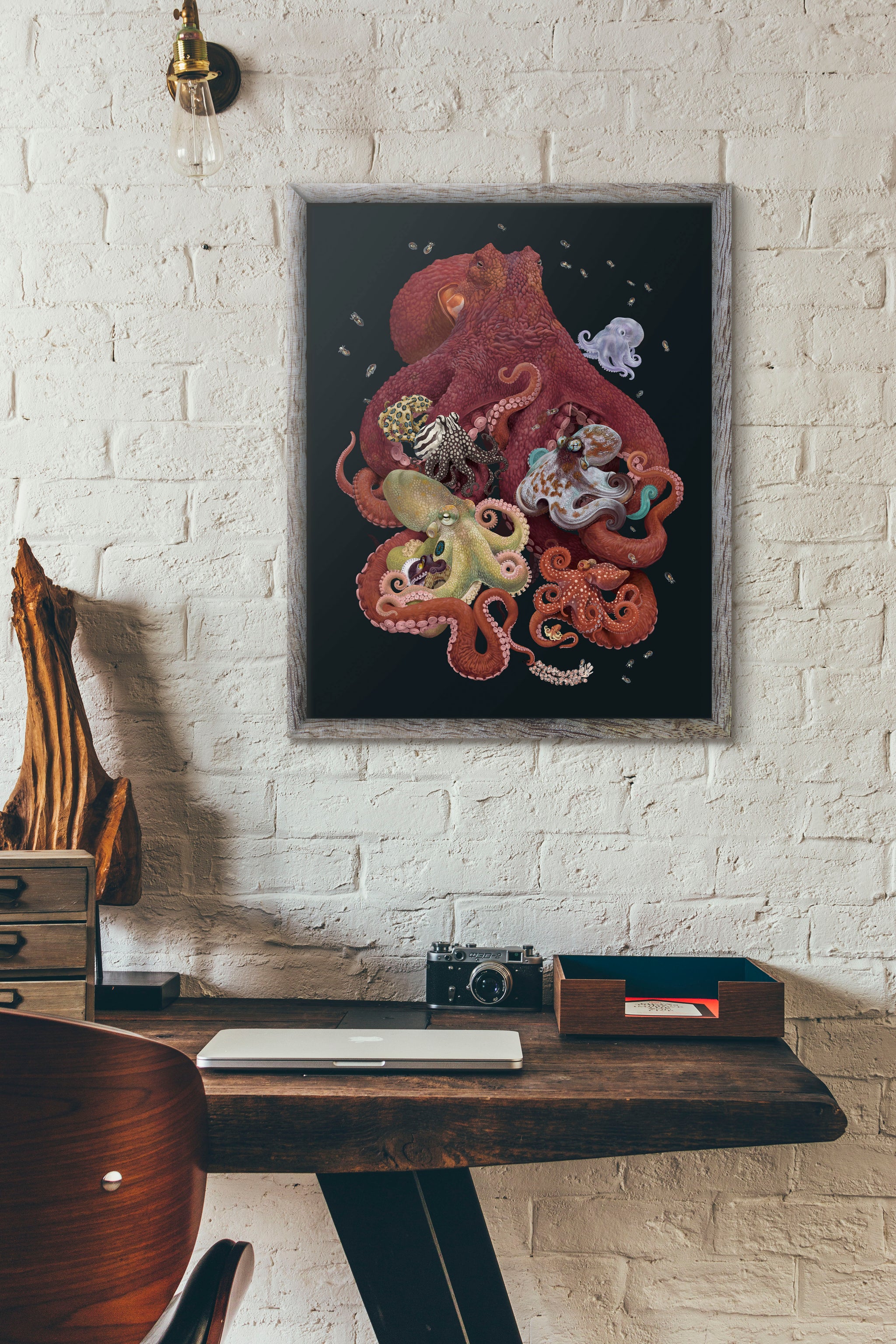 Octopodes – PangeaSeed Foundation